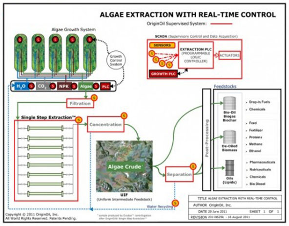 Algae’s extractions
